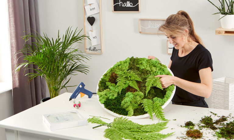 Moosbild selber machen - mömax blog